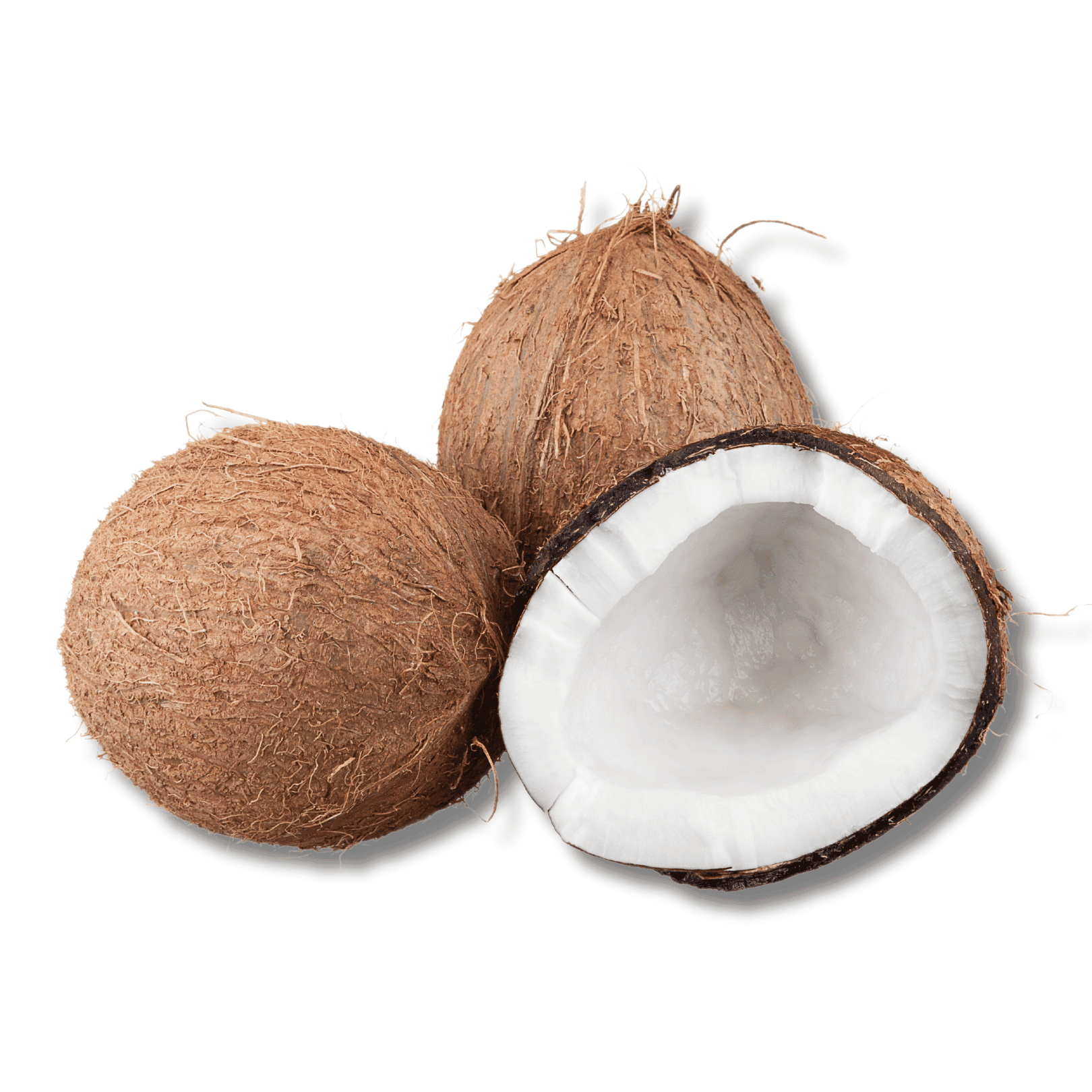 coco entero Panamá | Comprar en La Ferdulería