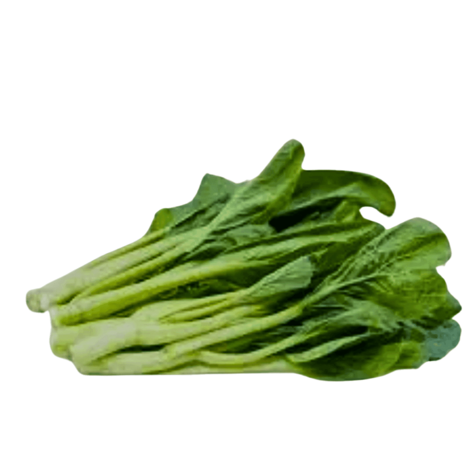 mostaza verde mazo Panamá | Comprar en La Ferdulería